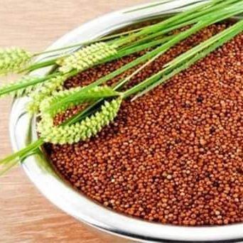 Ragi Seeds Kurakkan Seeds 200g කුරක්කන් ඇට குரக்கன்(கேழ்வரகு) | Daraz.lk