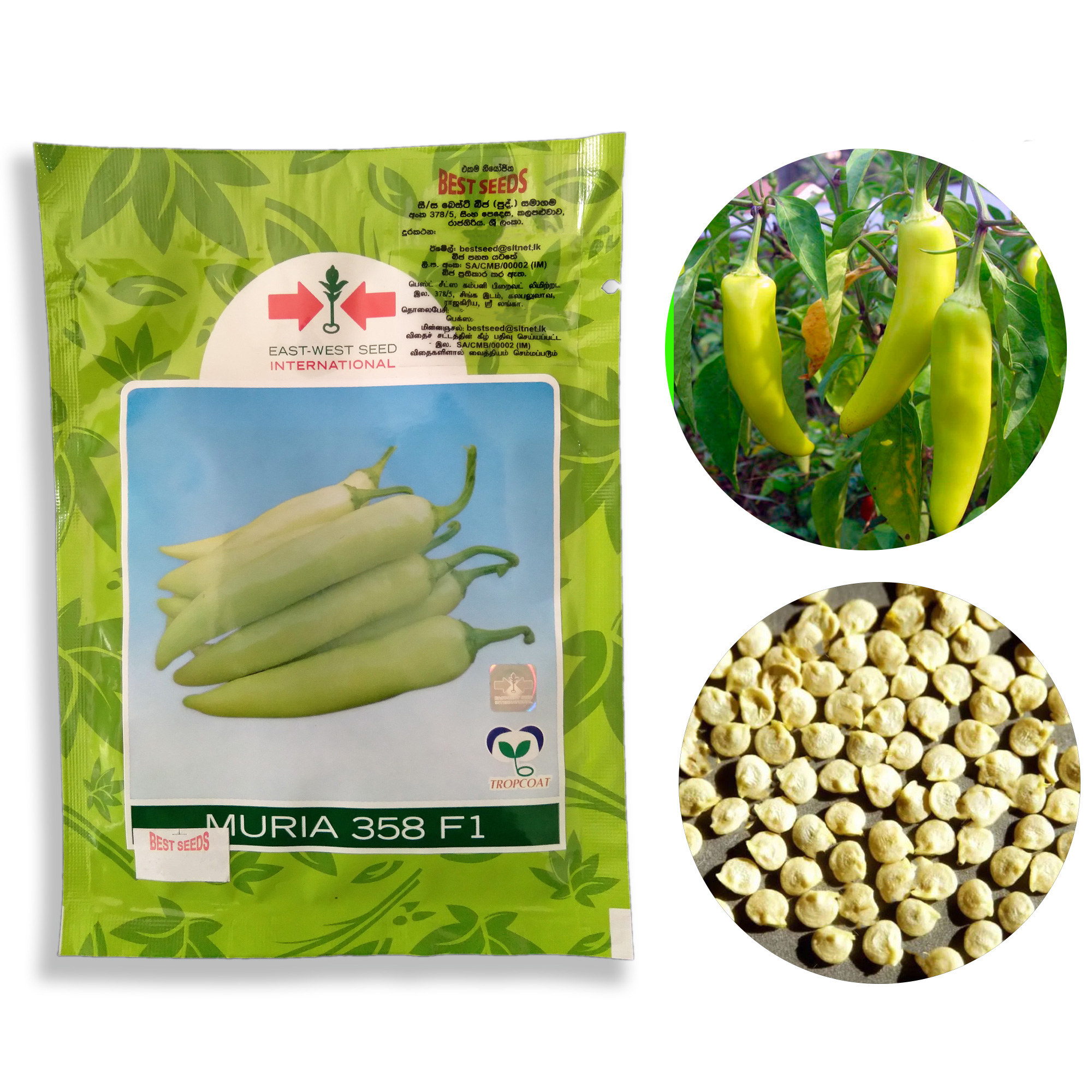 Capsicum MURIA 358 F1 Seeds, Malu Miris 10g | Daraz.lk