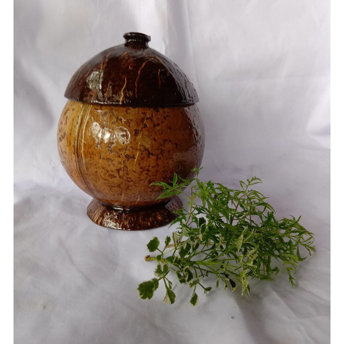Coconut Shell Salt Container /Lunu poll katta/ Natural Eco-friendly ...