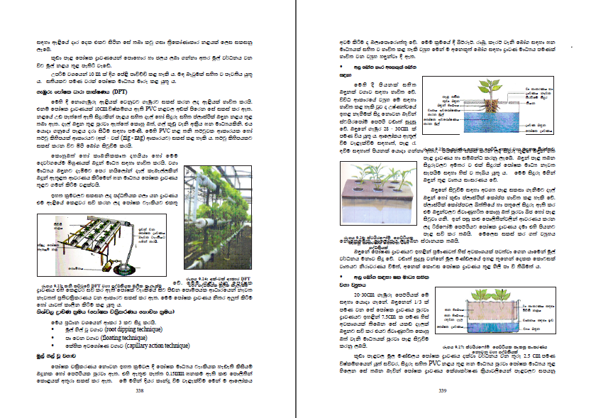 -- කෘෂි විද්‍යාව 12 -- වර්ණ Agricultural Science Reference Book - Agri - Grade 12 Colour Print ...