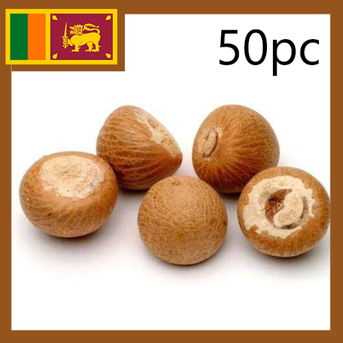 Sri Lankan Areca Nuts 50pc (Puwak) | Daraz.lk