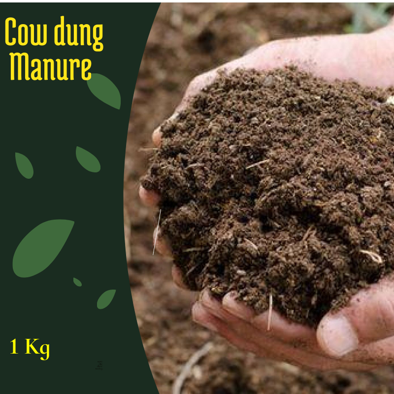 Cow Dung Manure Fertilizer Organic /ගොම පොහොර/goma pohora/Agriculture ...