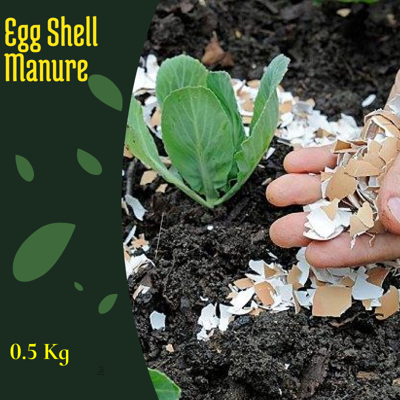 Egg shell Manure Fertilizer Organic /Agriculture/Fertilizer-500g | Daraz.lk